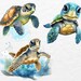 Sea Turtles Watercolor Clip Art Bundle Sea Animals Clipart Png Sea Life ...