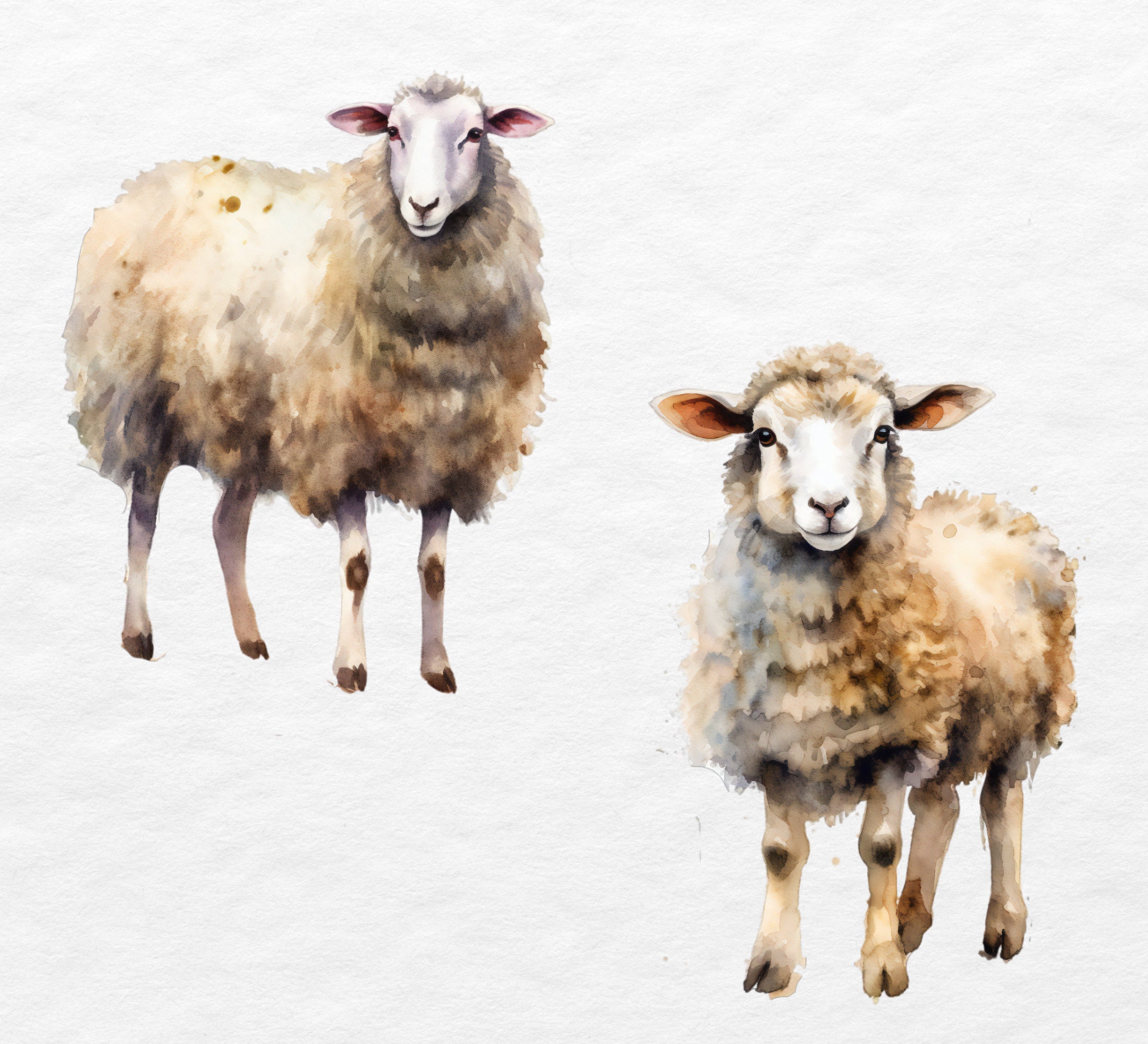 Watercolor Farm Animals Clipart Bundle: Barnyard PNG Images (commercial ...