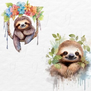 Watercolor Sloth Clipart Bundle With Flowers Png, Digital Download ...