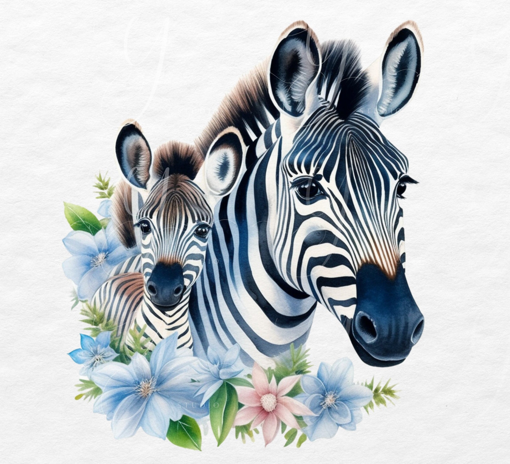 Zebra Clipart Watercolor Clip Art Bundle Baby Zebra Clipart - Etsy
