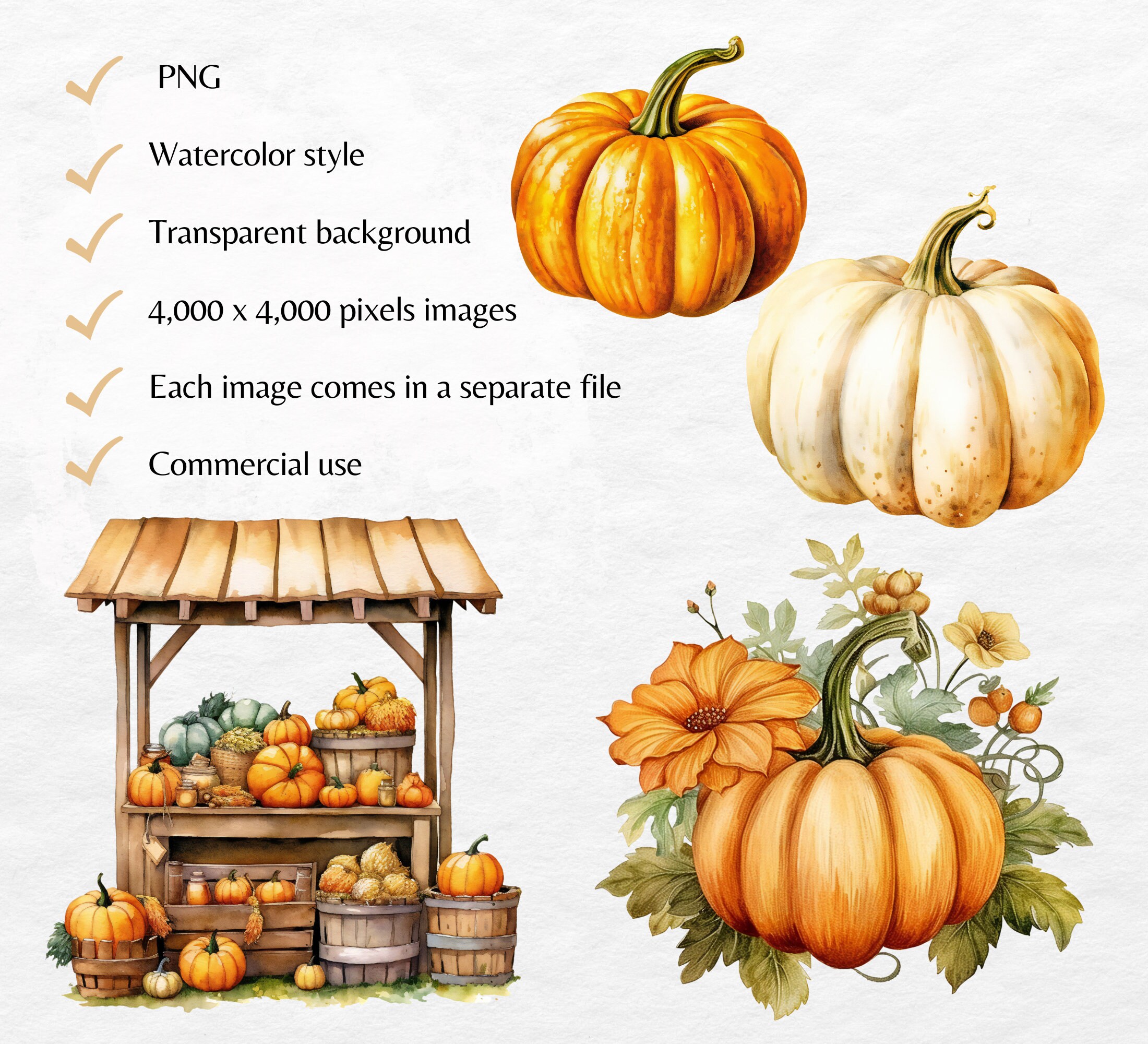 Watercolor Pumpkin Clipart: Fall Leaves PNG Bundle (digital Download ...