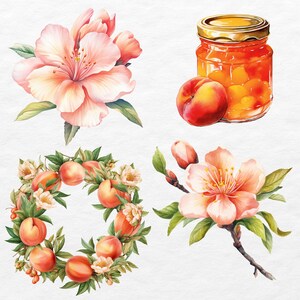 Peach Watercolor Clipart Bundle: Fruit Tree, Wreath, PNG (commercial ...