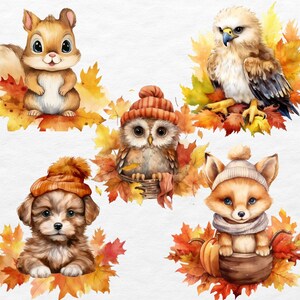 Fall Woodland Baby Animals Watercolor Clipart |fall Png | Nursery Decor ...
