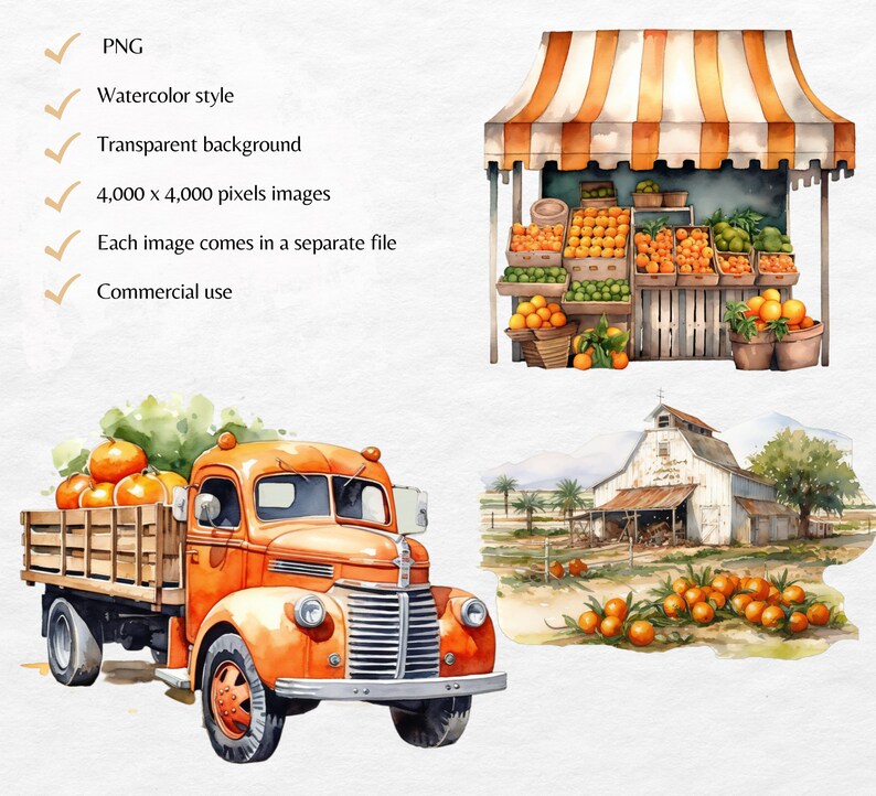 Watercolor Orange Clipart Bundle: Citrus Flowers (instant Download) - Etsy