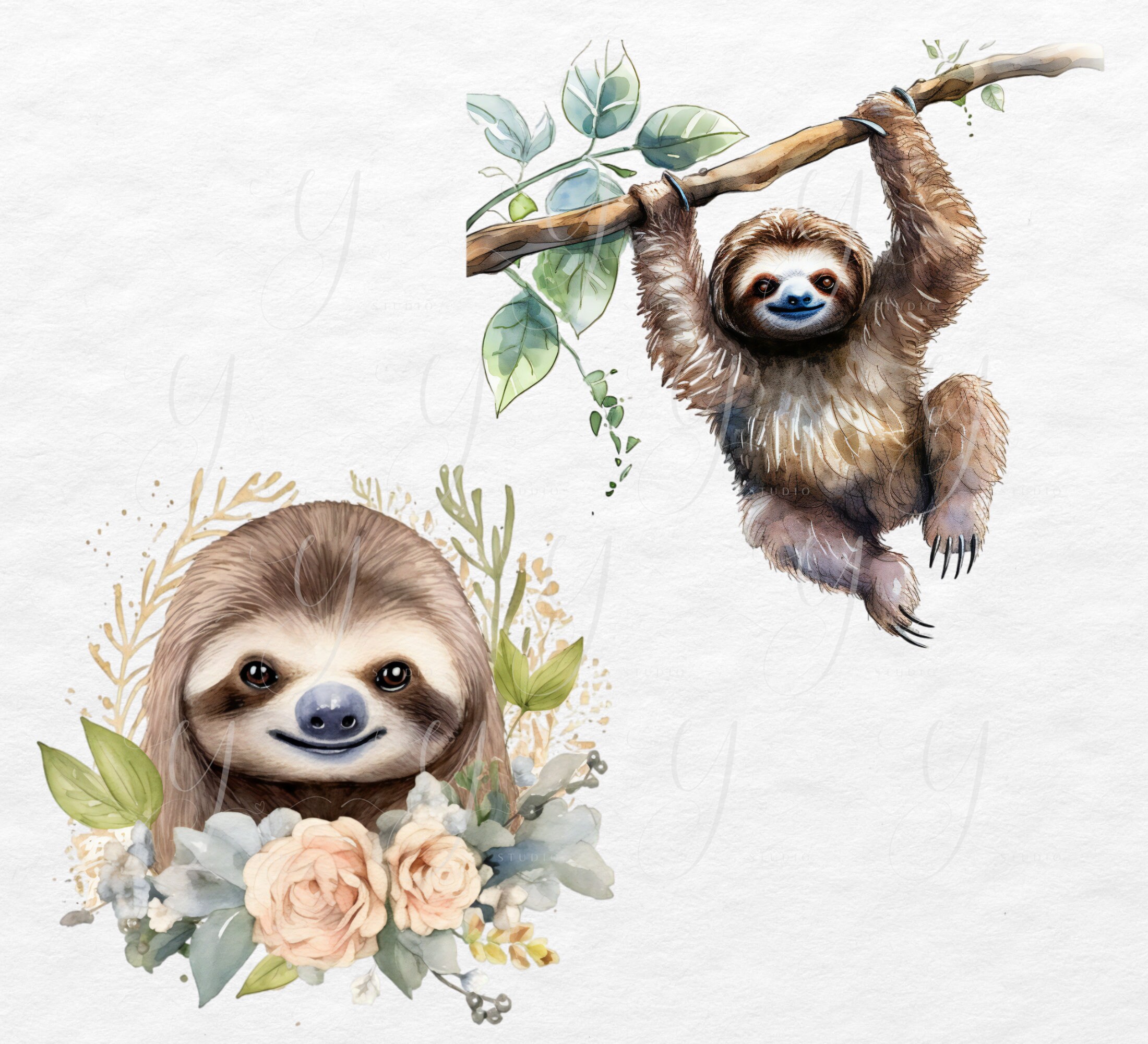 Watercolor Sloth Clipart Bundle With Flowers Png Digital - Etsy