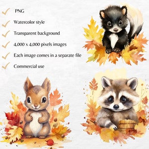 Fall Woodland Baby Animals Watercolor Clipart |fall Png | Nursery Decor ...