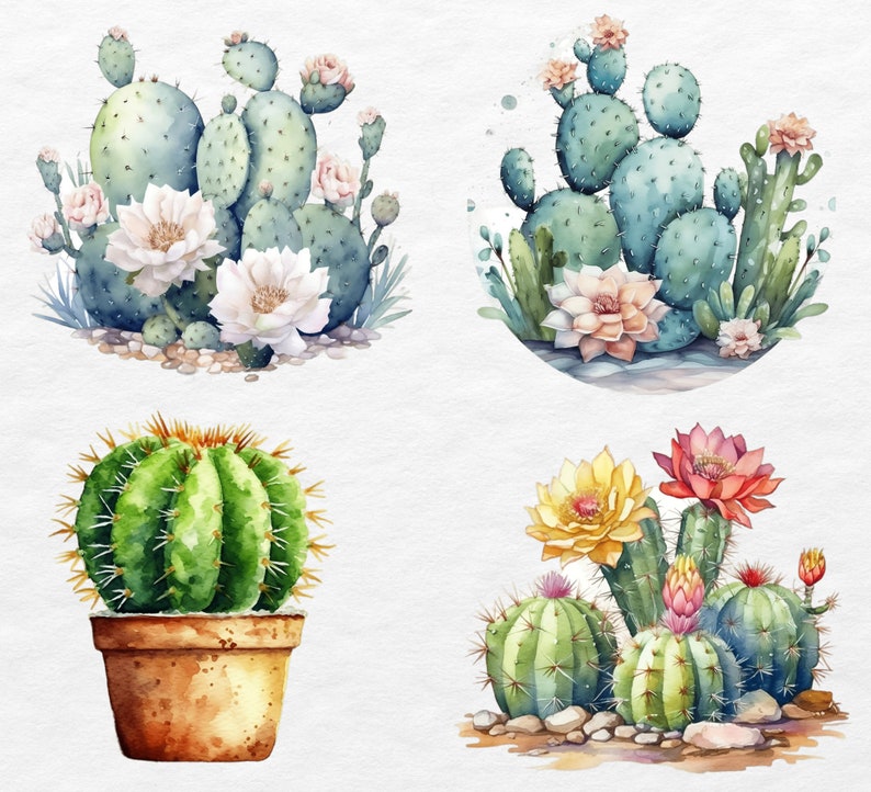 Cactus Watercolor Clipart Bundle Desert Cacti Png Instant - Etsy