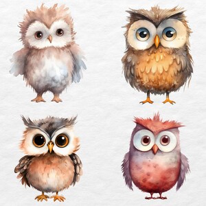 Owl Png Clipart Watercolor Bundle | Digital Download | Commercial Use ...