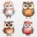 Owl Png Clipart Watercolor Bundle Digital Download Commercial Use, Cute ...