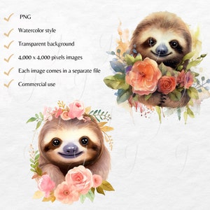 Watercolor Sloth Clipart Bundle With Flowers Png, Digital Download ...