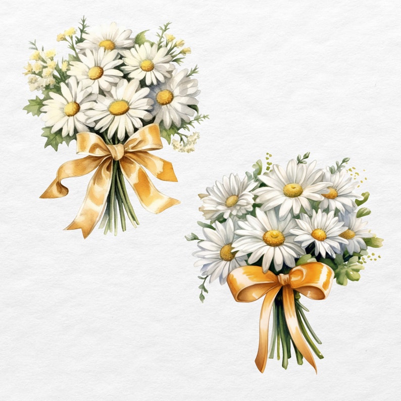 Watercolor Daisy Clipart: Floral Bouquets & Wreaths (PNG Digital ...