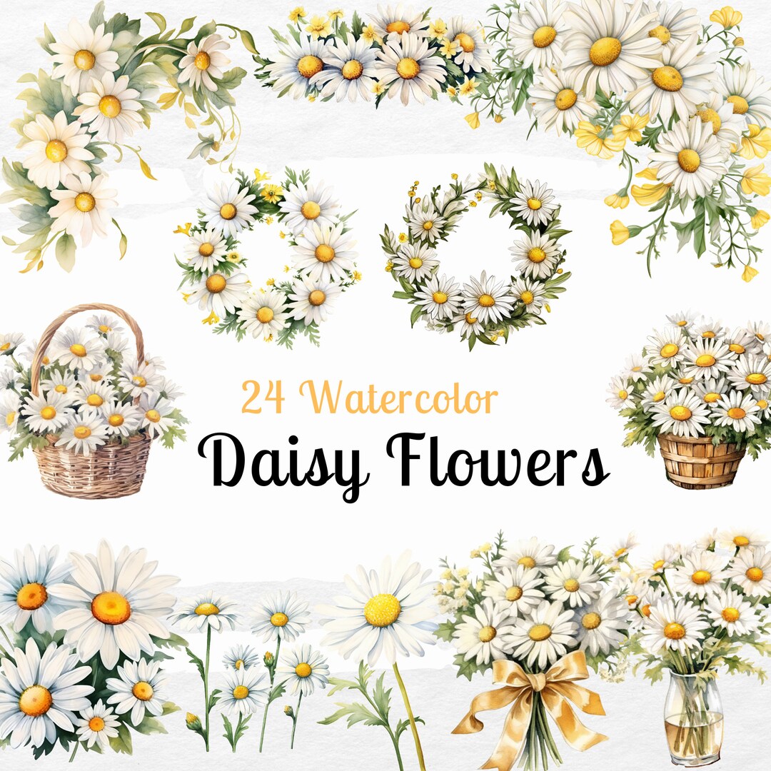 Watercolor Daisy Clipart: Floral Bouquets & Wreaths (PNG Digital ...
