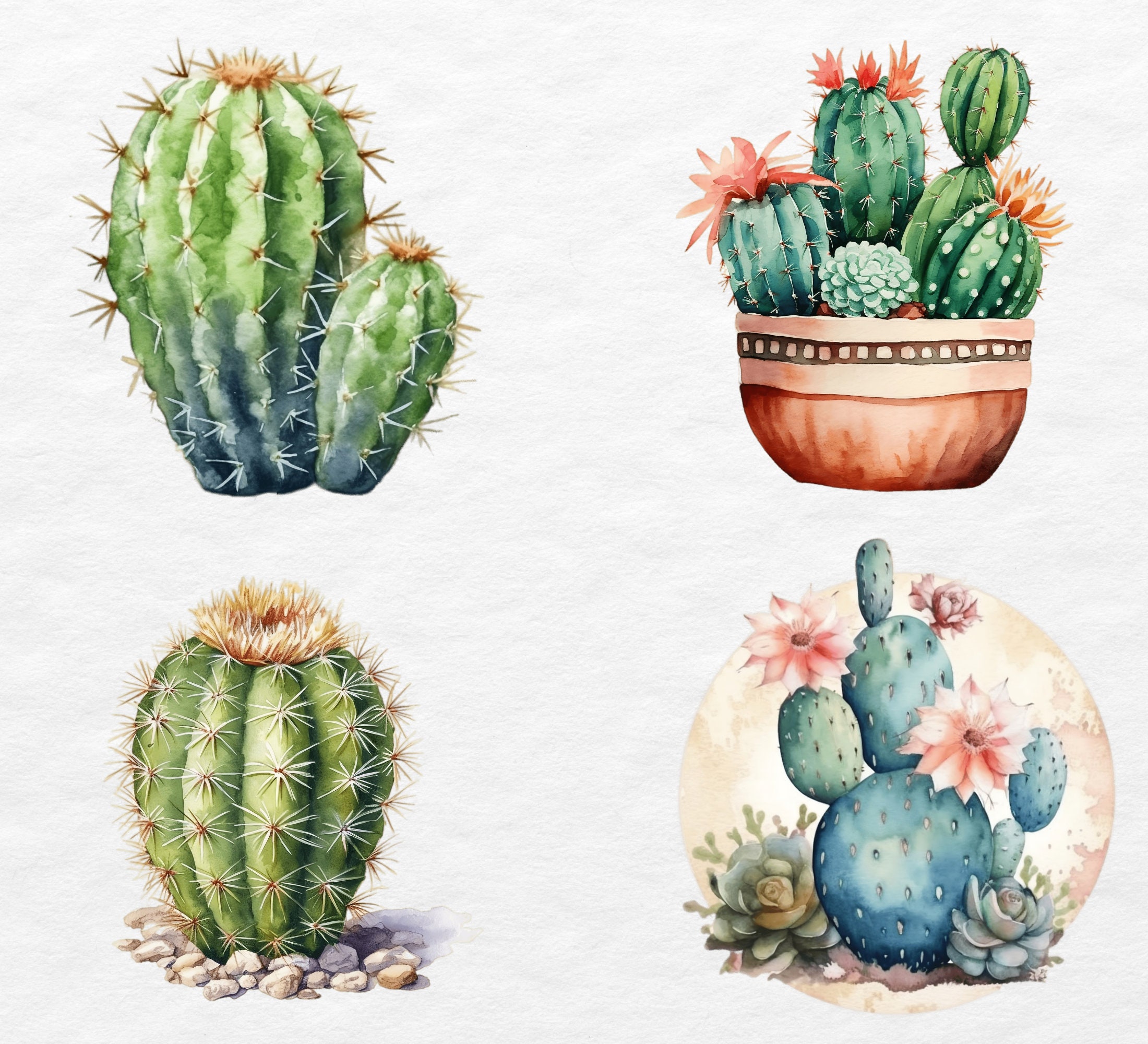 Cactus Watercolor Clipart Bundle Desert Cacti Png Instant - Etsy