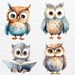 Owl Png Clipart Watercolor Bundle Digital Download Commercial Use, Cute ...