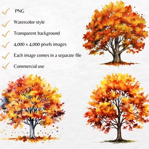 Fall Leaves and Trees Clipart |fall Leaves Watercolor Png | Fall Png ...