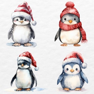Christmas Penguins Watercolor Clipart | Holiday PNG Images - Etsy