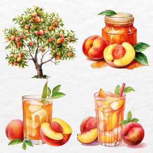 Peach Watercolor Clipart Bundle: Fruit Tree, Wreath, PNG (commercial ...