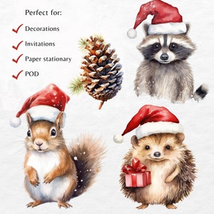 Christmas Woodland Baby Animals Watercolor Clipart | Cute Christmas Png ...