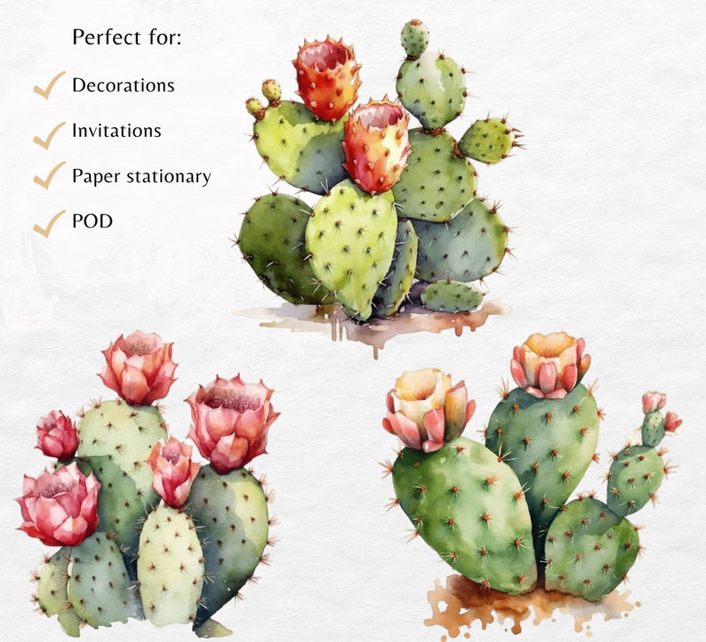 Cactus Watercolor Clipart Bundle Desert Cacti Png Instant - Etsy