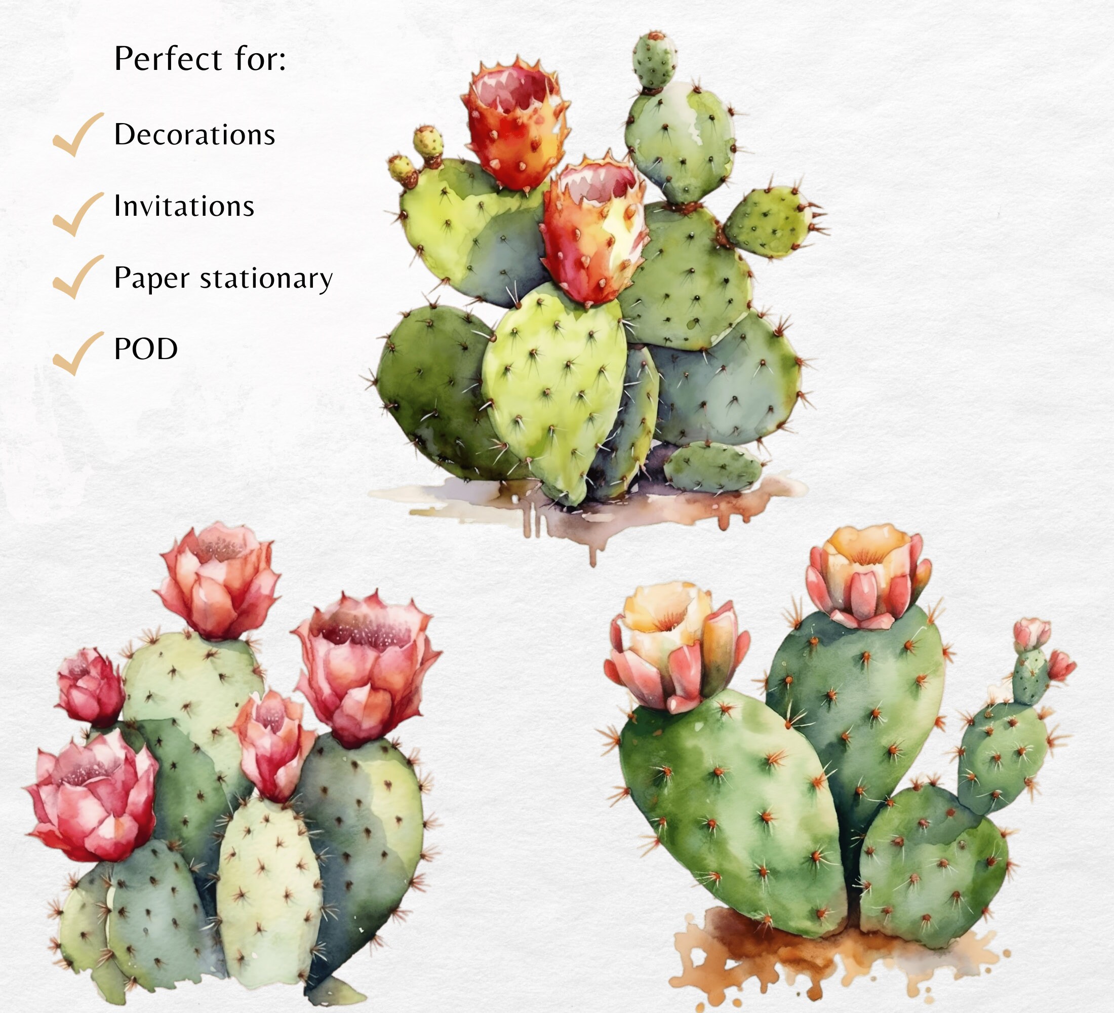 Cactus Watercolor Clipart Bundle Desert Cacti Png Instant - Etsy