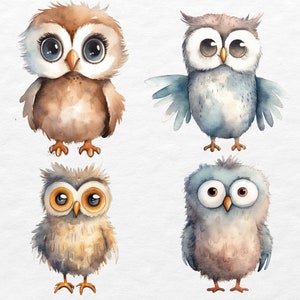 Owl Png Clipart Watercolor Bundle | Digital Download | Commercial Use ...