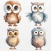 Owl Png Clipart Watercolor Bundle Digital Download Commercial Use, Cute ...