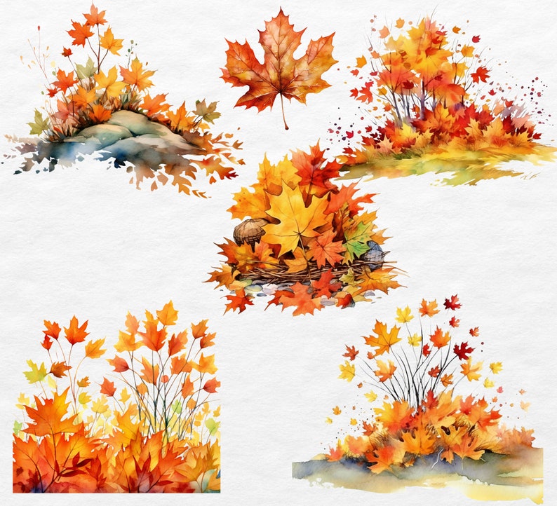 Fall Leaves and Trees Clipart fall Leaves Watercolor Png Fall Png, Pile ...