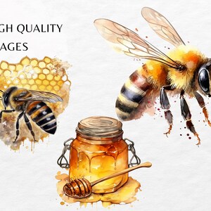 Bees Watercolor Clip Art Bundle | PNG Honey Bee on Sunflower, Honeycomb ...