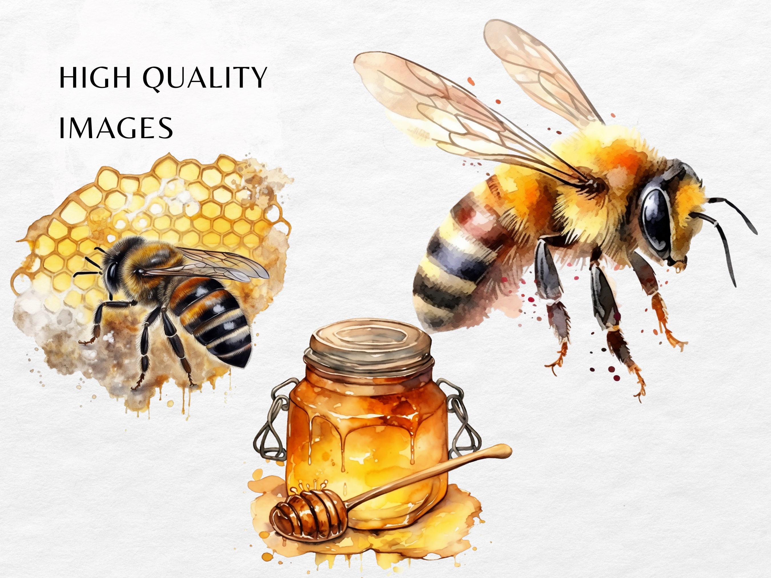 Bees Watercolor Clip Art Bundle PNG Honey Bee on Sunflower - Etsy