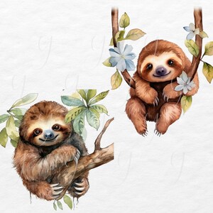 Watercolor Sloth Clipart Bundle With Flowers Png, Digital Download ...