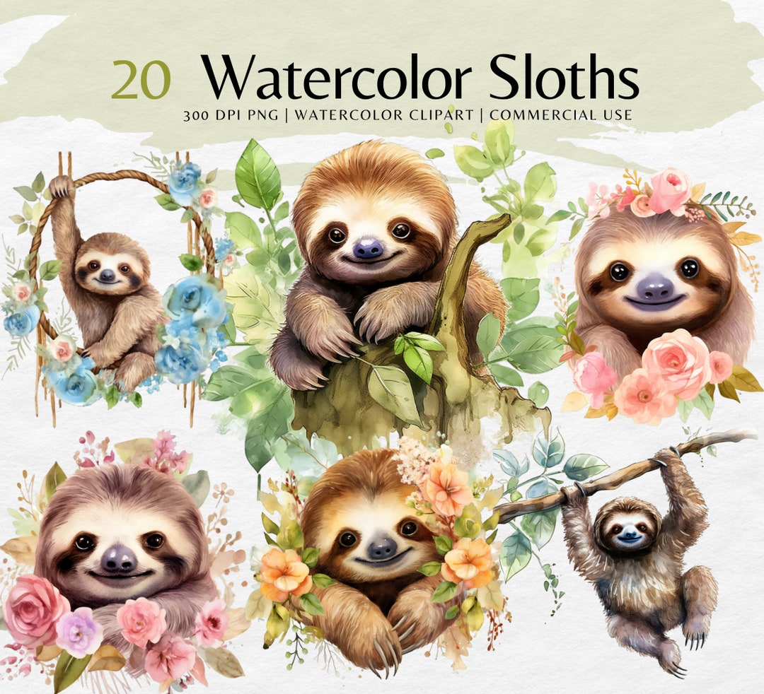 Watercolor Sloth Clipart Bundle With Flowers Png, Digital Download ...