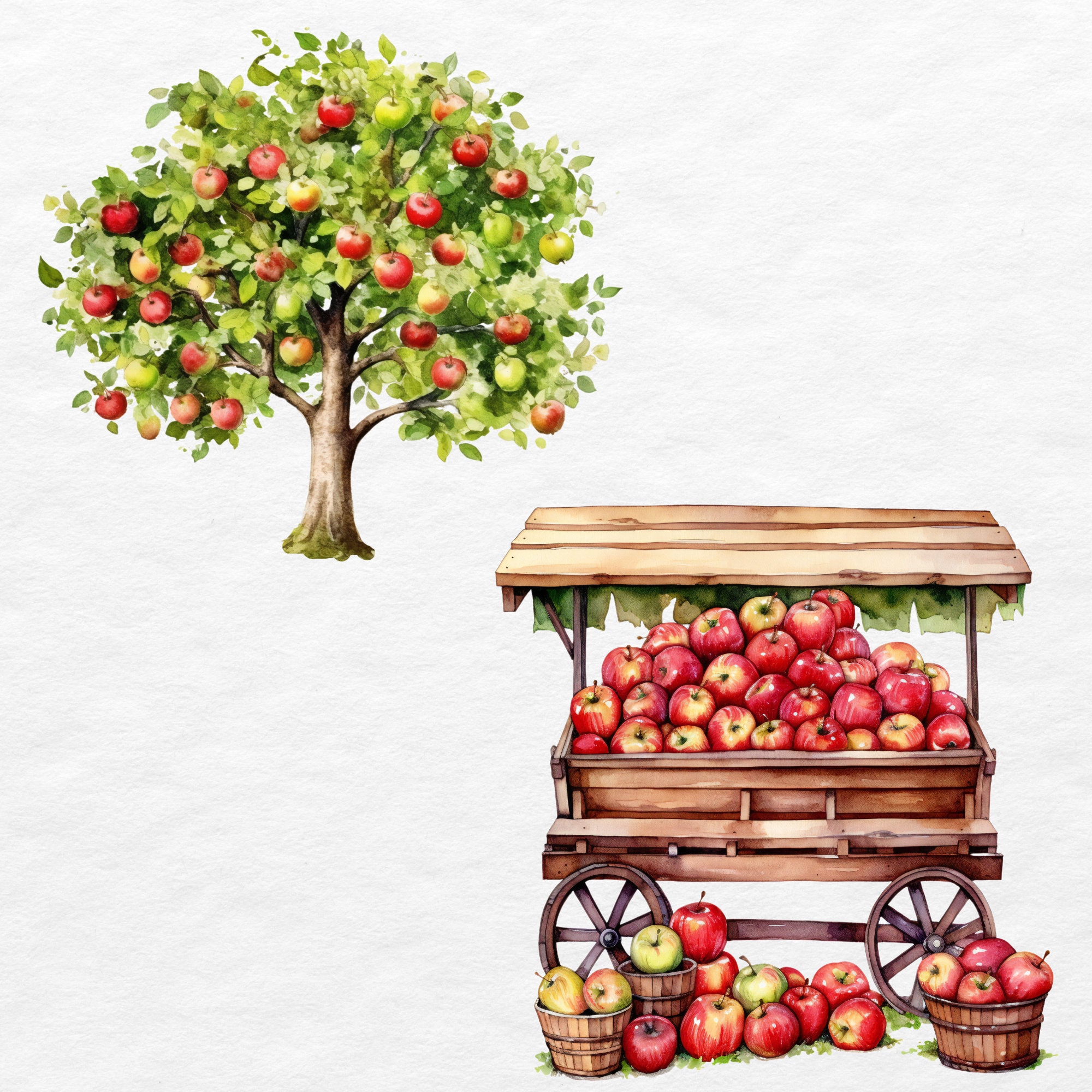 Apple Watercolor Clipart Bundle: 26 PNG Images (commercial Use) - Etsy