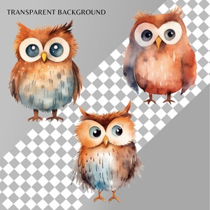 Owl Png Clipart Watercolor Bundle | Digital Download | Commercial Use ...