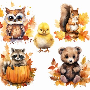 Fall Woodland Baby Animals Watercolor Clipart |fall Png | Nursery Decor ...