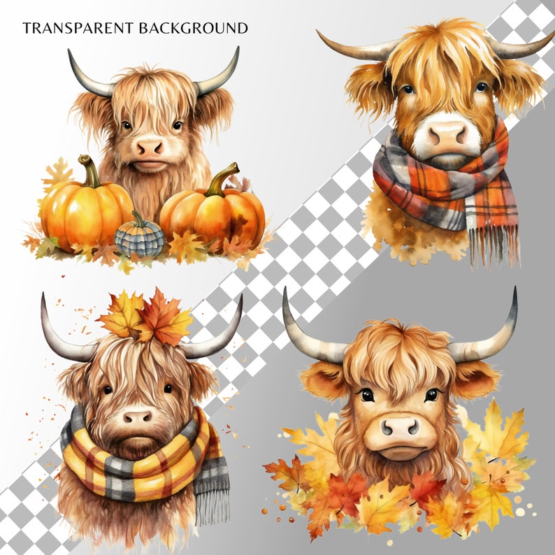 Fall Highland Cow Png Clipart Bundle Cute Baby Highland Cow - Etsy Canada