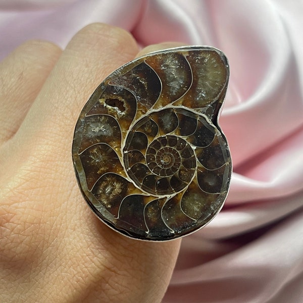 Ammonite Jewelry - Etsy