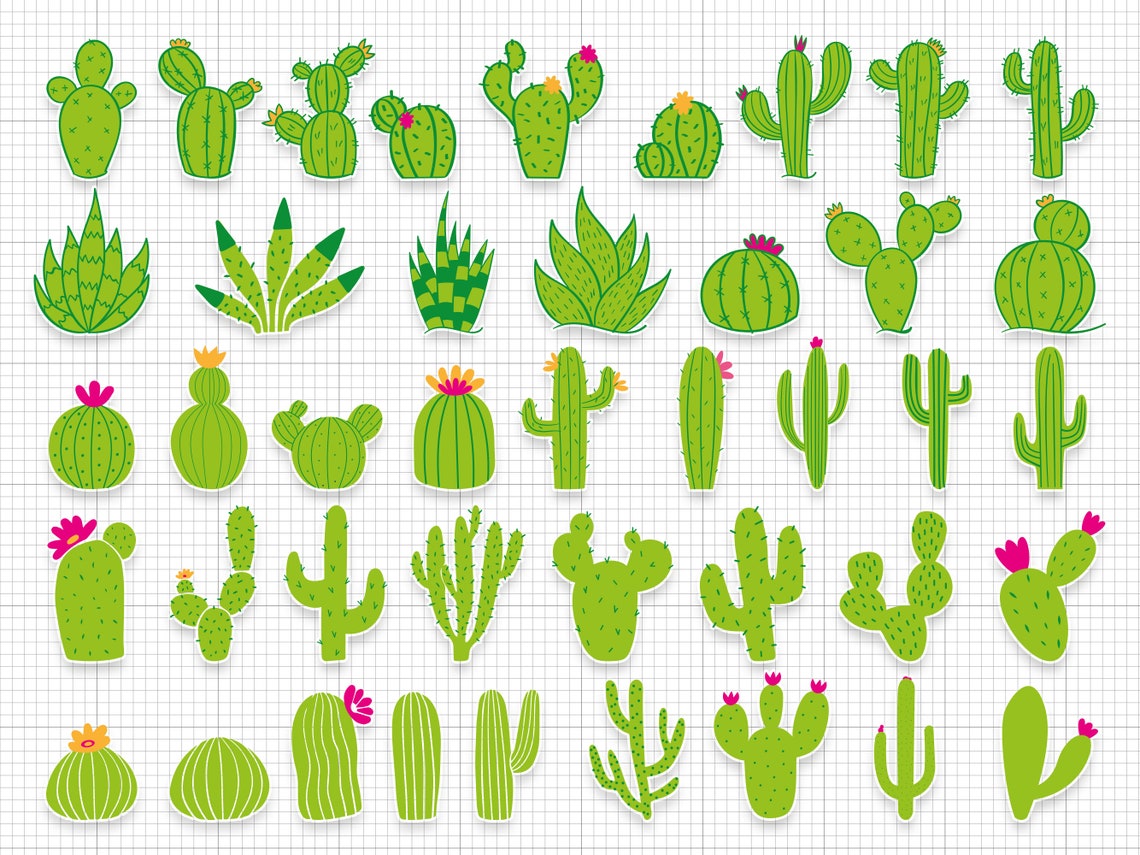 Cactus Svg Png Pdf Ai Dxf File Download - Etsy