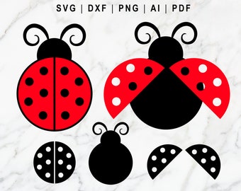 Seashell Svg Png Ai Pdf Dxf File Download - Etsy