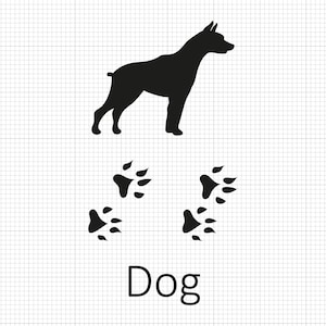 Animal Footprint Svg Png Pdf Ai Dxf File Download - Etsy