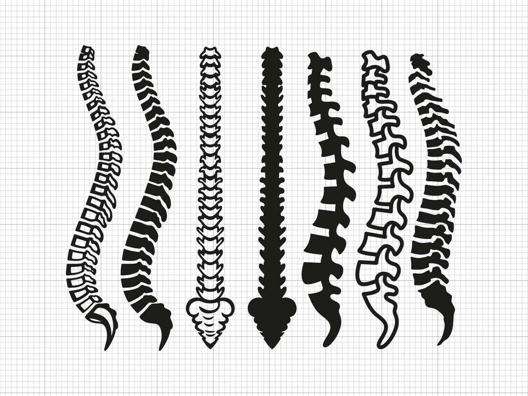 Spine Svg Png Pdf Ai Dxf File Download - Etsy Australia
