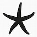 Starfish Svg Png Pdf Ai Dxf File Download - Etsy