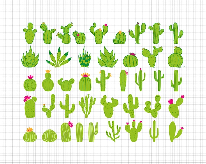 Cactus SVG Bundle, Cactus Svg Files for Cricut or Silhouette, Cute ...