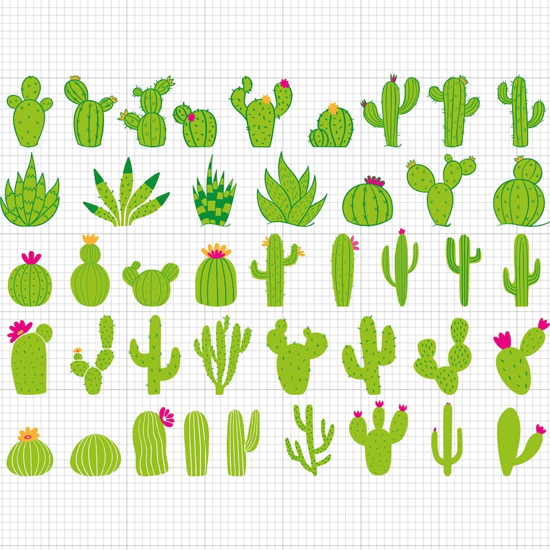 Cactus Svg - Etsy