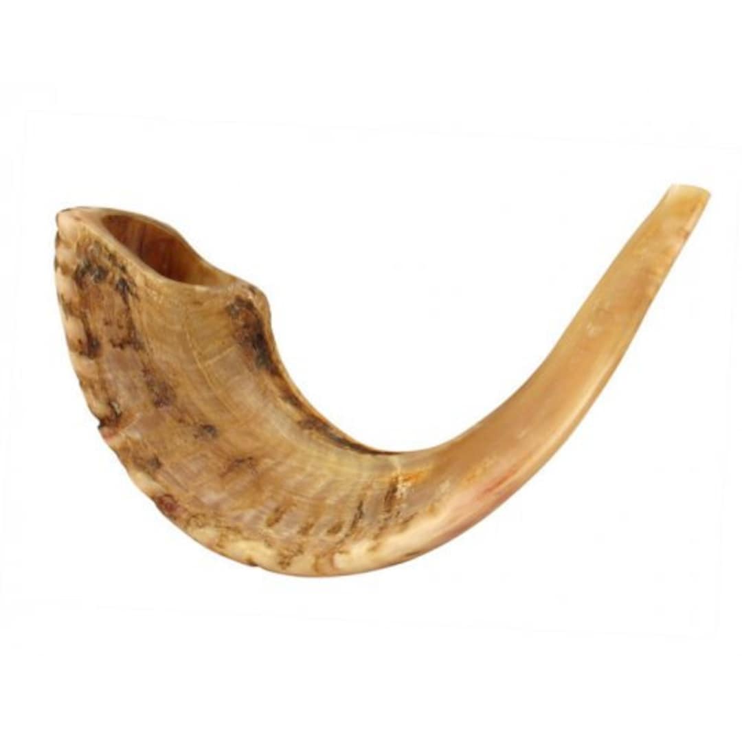 Jewish Shofar Trumpet 15"-16", Large Rams Horn Shofar With Light Shades ...