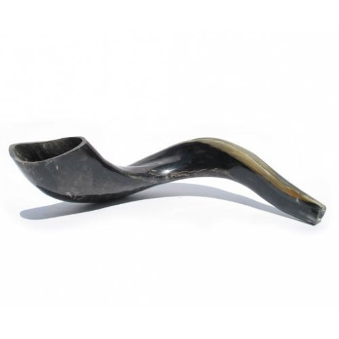 Jewish Shofar Trumpet 1516, Large Black Kosher Ram's Horn Shofar ...