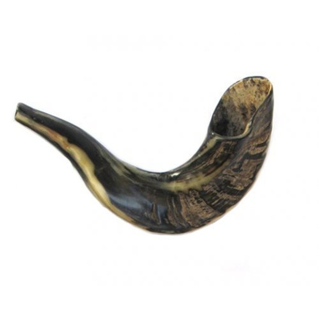 Jewish Shofar Trumpet 1012, Dark Rams Horn From Israel With Kosher ...