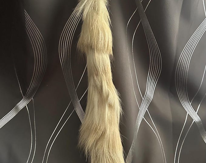 African Traditional Horse Tail - Etsy