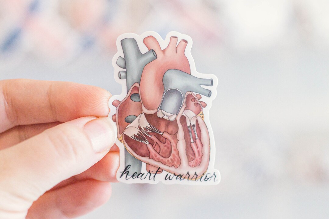 Heart Warrior Sticker Heart Mama Sticker Anatomical Heart Sticker Heart ...