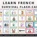 French Flashcards for Beginners, French Printable Flashcards, French ...