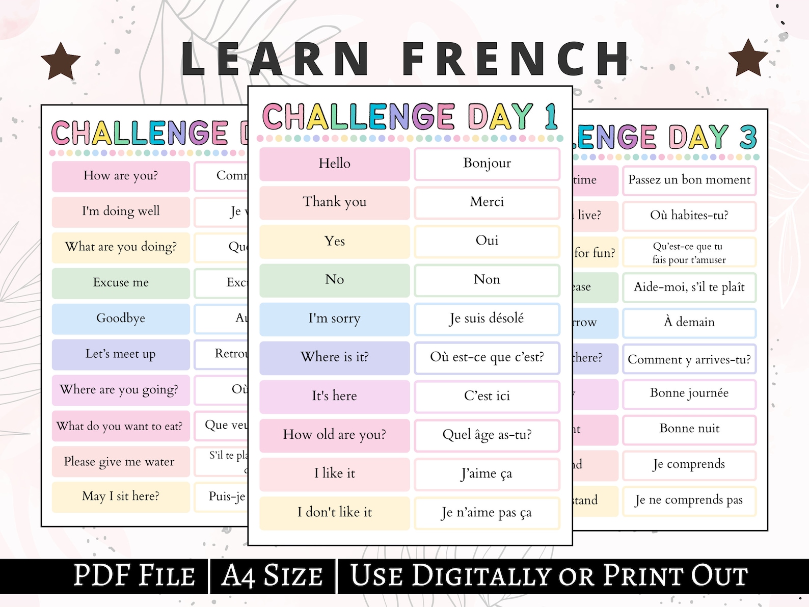 French Language | French Practice Basic Phrases & Expressions, French ...